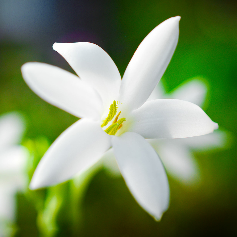 Base Formulas Archives - Creative Formulas