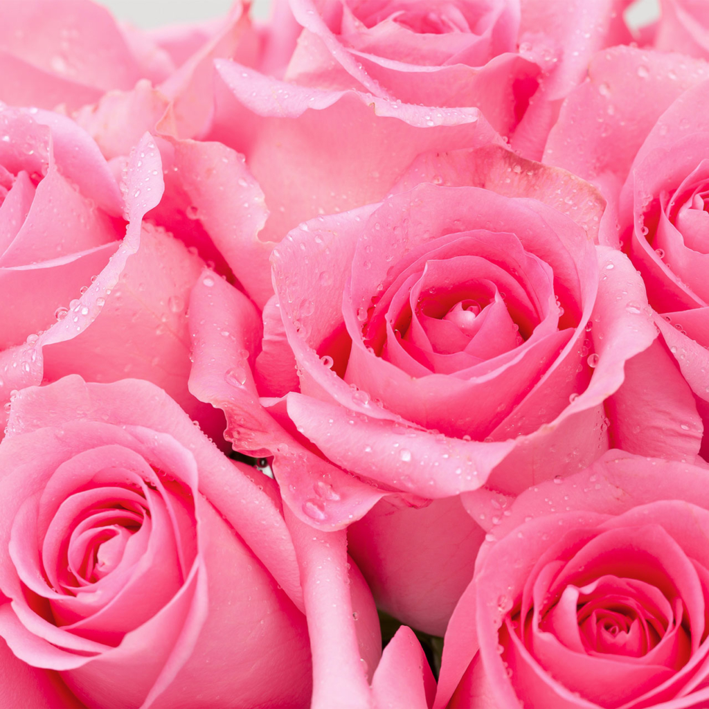 Base Formulas Archives - Creative Formulas