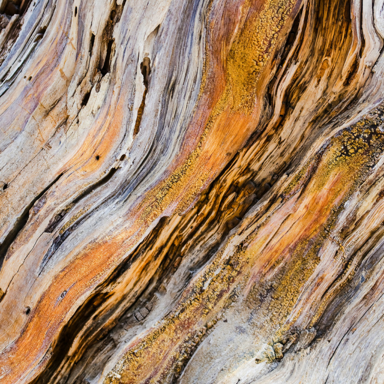 Base Formulas Archives - Creative Formulas