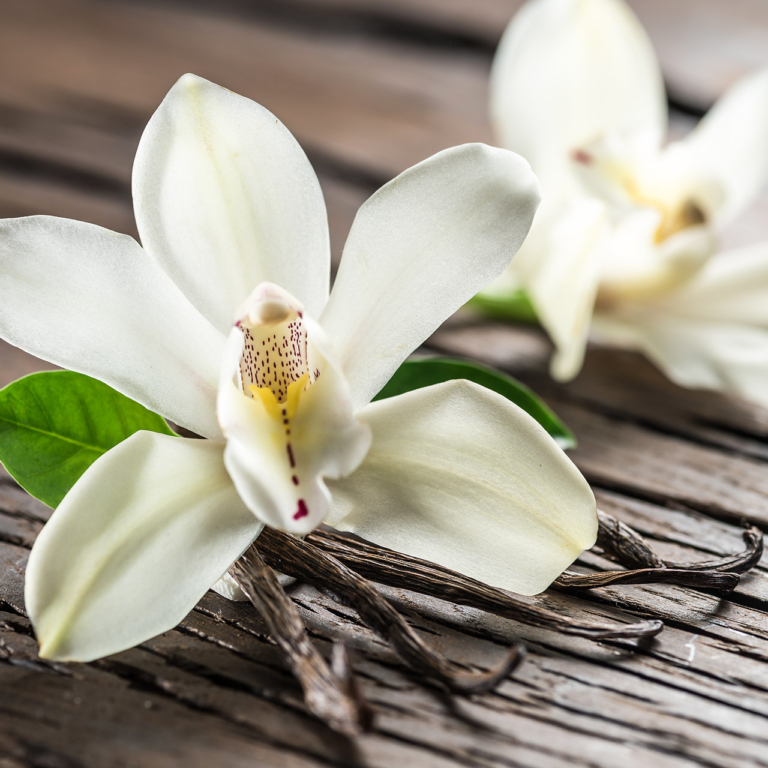 Nirvanille™ Base - Creative Formulas