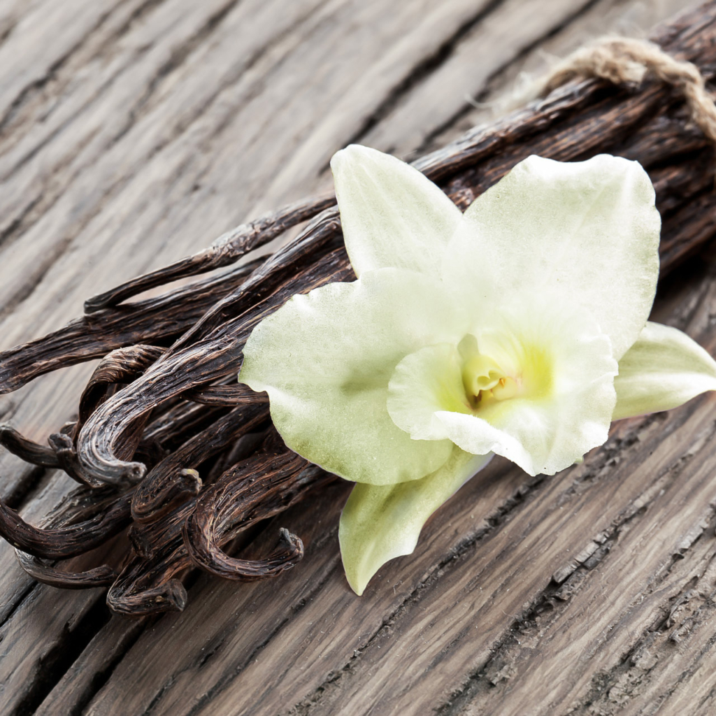 Vanilla Bean Accord - Creative Formulas