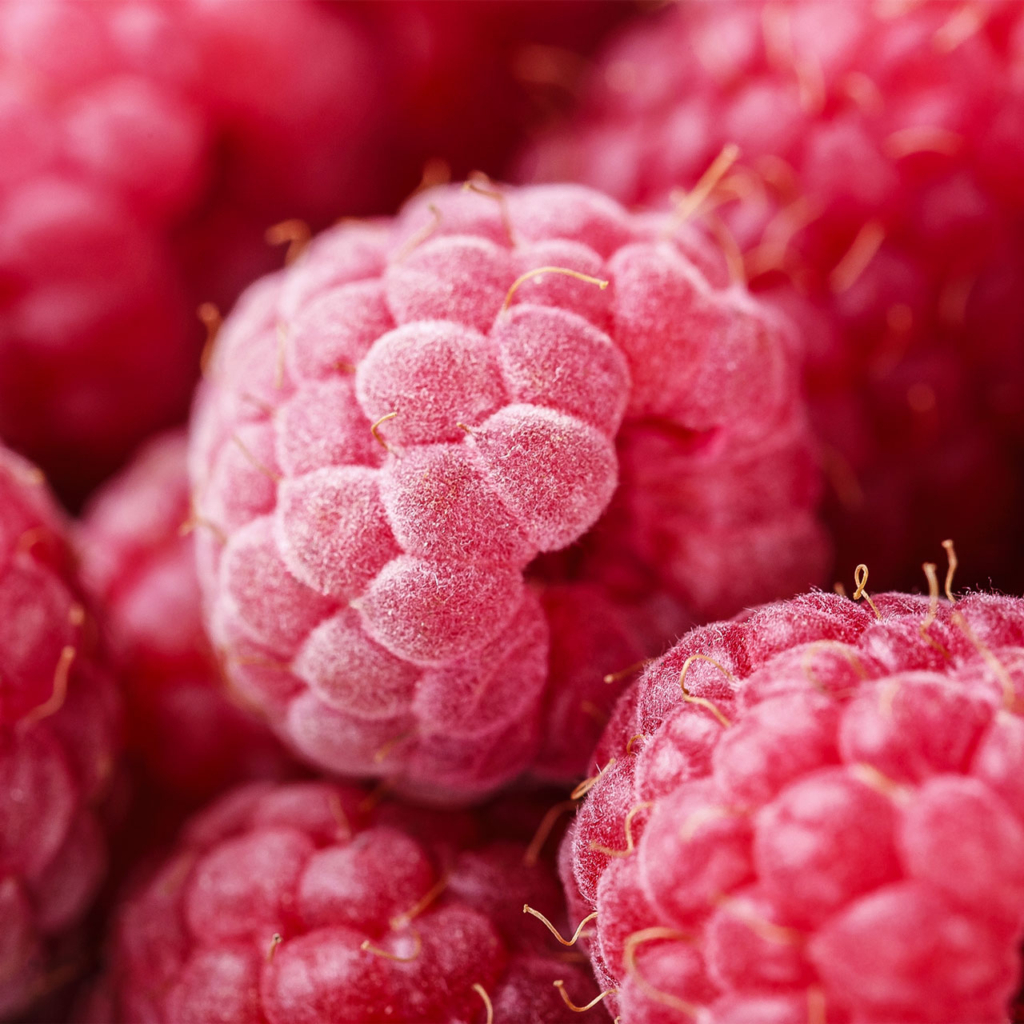 Accord Formulas Archives - Creative Formulas